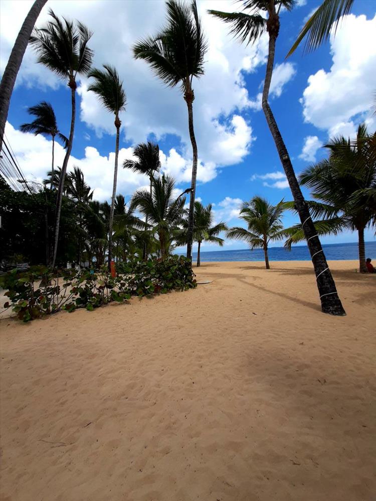 Hotel Playa Colibri in Samana, Dominican Republic | SNO